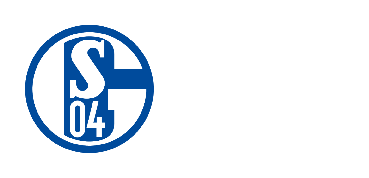 UPS Versand nach Österreich für Geschäftskunden | Günstig & Schnell